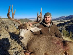 Trophy Utah Mule Deer Hunts
